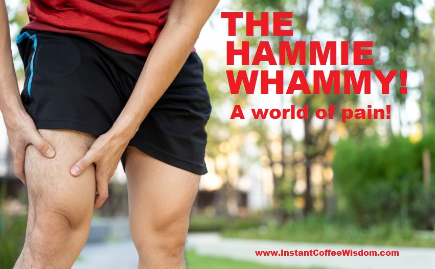 THE HAMMIE WHAMMY! – Instant Coffee Wisdom
